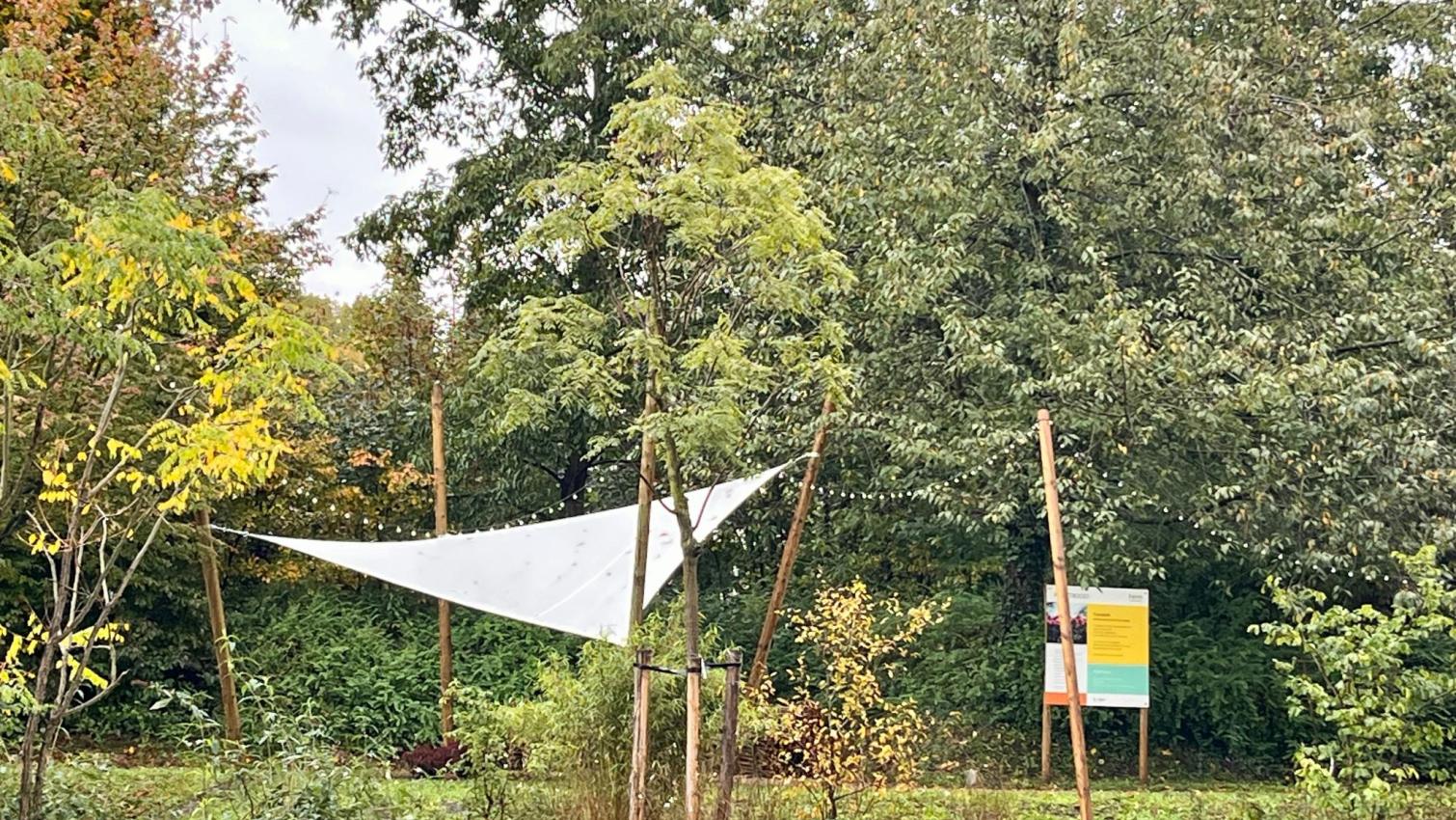 Solace@work at FERM: inauguration of a place of solace at